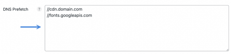 How to Implement DNS Prefetching in WordPress (One-click)