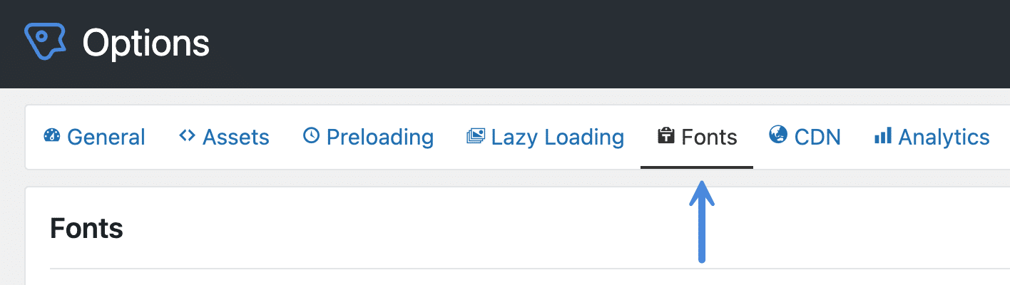How to host Google Fonts locally in WordPress (one-click)