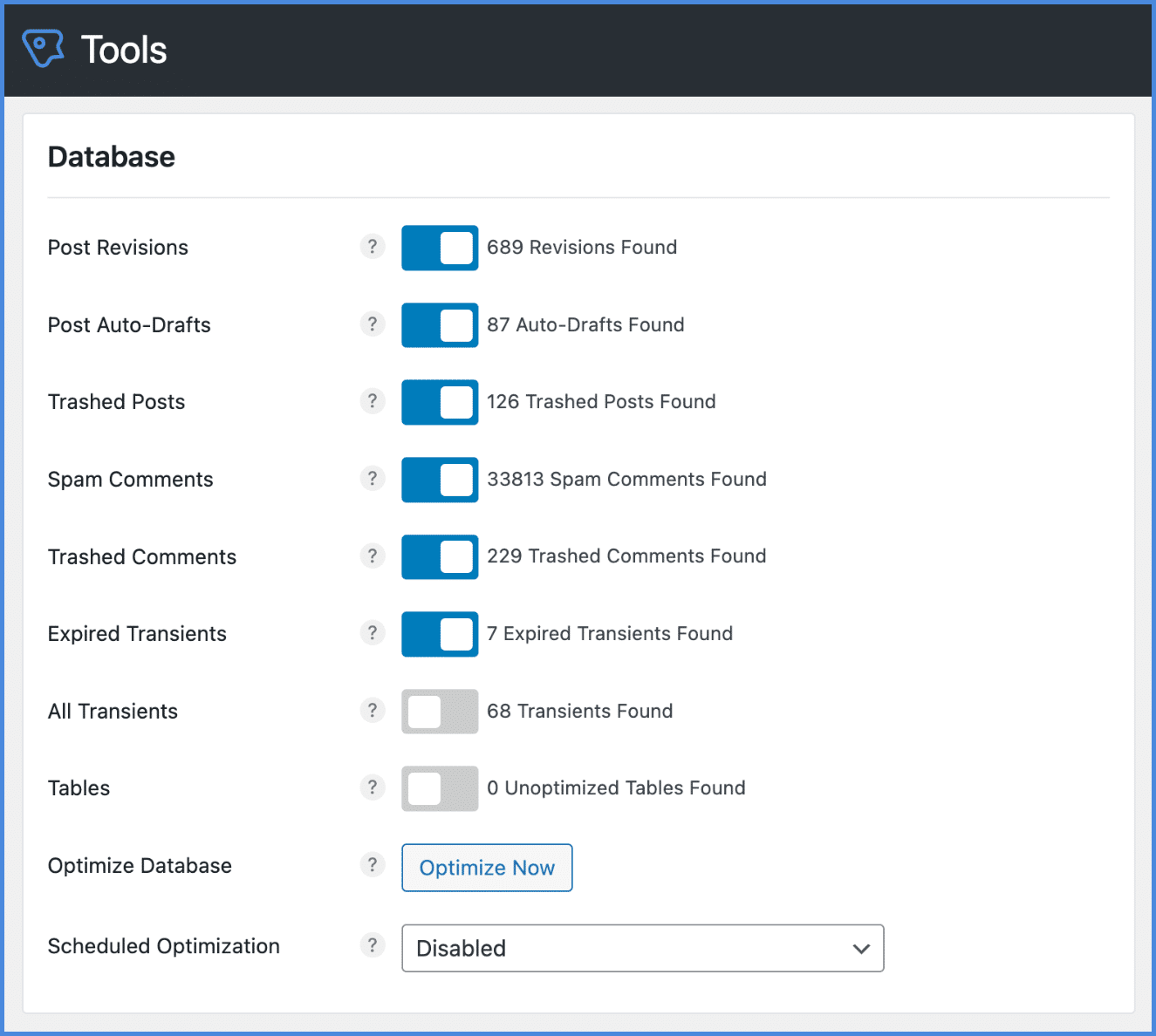 Perfmatters features (quick-toggles, Script Manager, lazy loading, more)