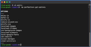 Perfmatters features (quick-toggles, Script Manager, lazy loading, more)
